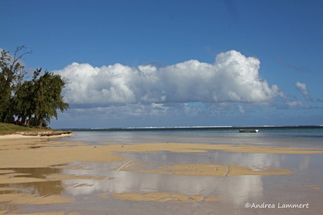 Winter auf Mauritius - die Insel des Zuckers im Juni