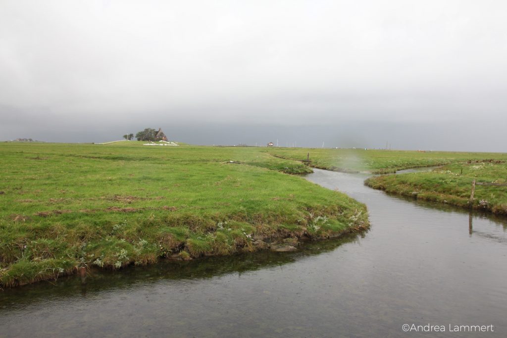 Kleine Auszeit auf der Hallig Hooge in der Nordsee