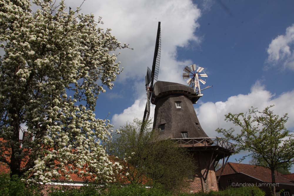 Tipps für Jever: Die Stadt kann mehr als nur Bier