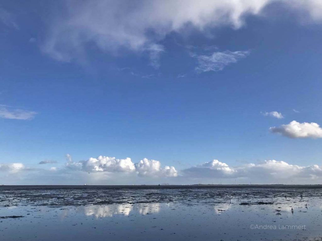 Tipps für Schillig I Sandstrand und einsame Inseln im Wangerland