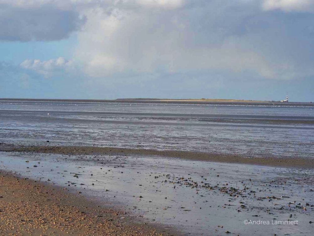 Tipps für Schillig I Sandstrand und einsame Inseln im Wangerland
