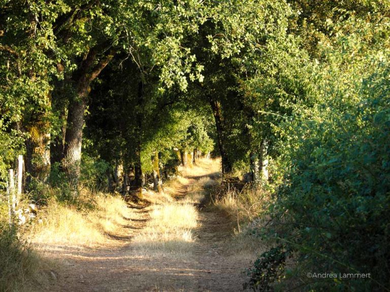 Frankreich: Ferien am Lot - Tipps für den Traumurlaub am Fluss