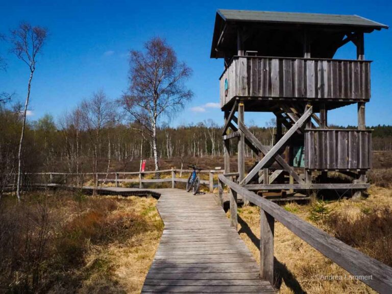 Ausflugsziele im Solling I Wandern, Natur & Städte I indigo-blau.de